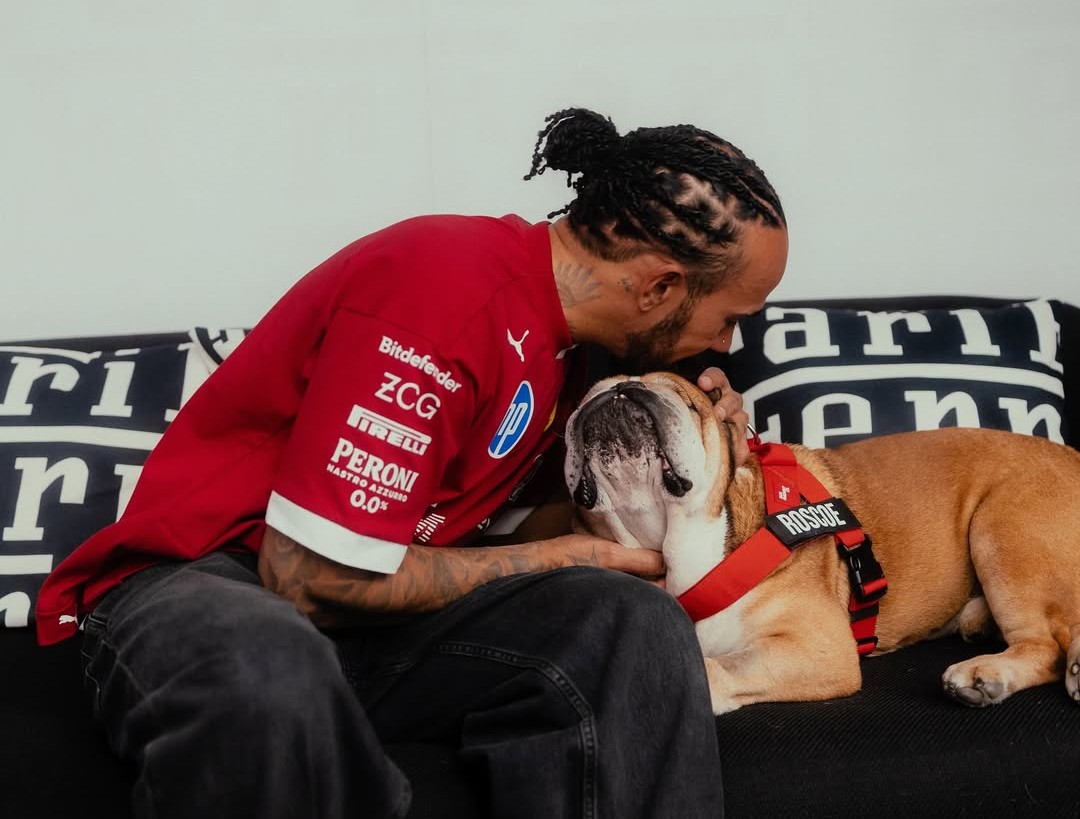 F1 sufre una gran pérdida: fallece Roscoe, el perro de Lewis Hamilton